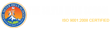 The Silver Hills School